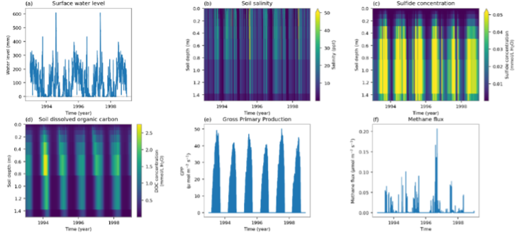 Resources – SETx-UIFL
